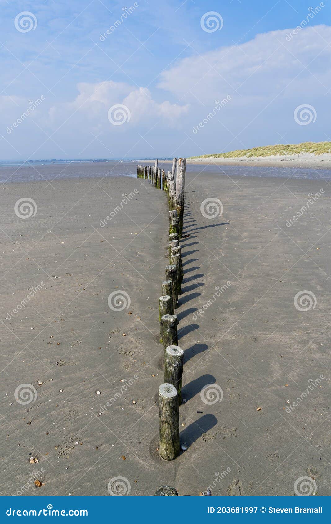 Row of Old Wooden Posts on West Wittering Beach Stock Image - Image of ...