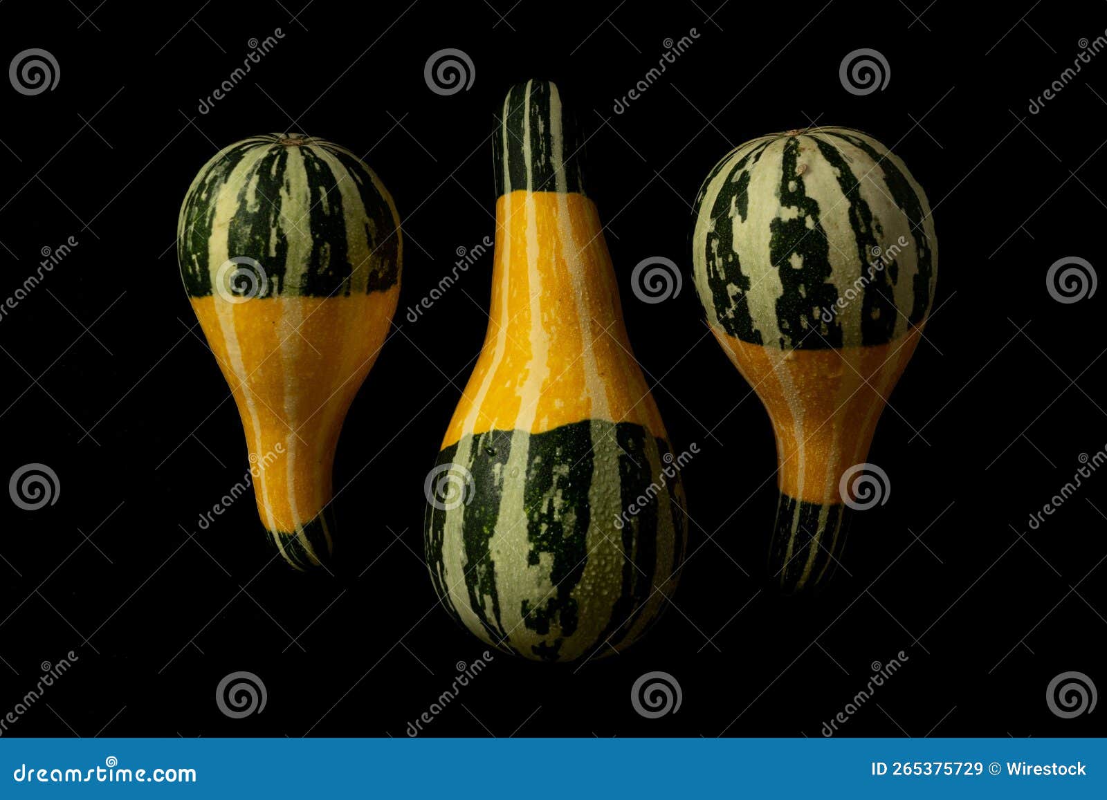 Row of Yellow and Green Gourds Isolated on a Black Background Stock ...
