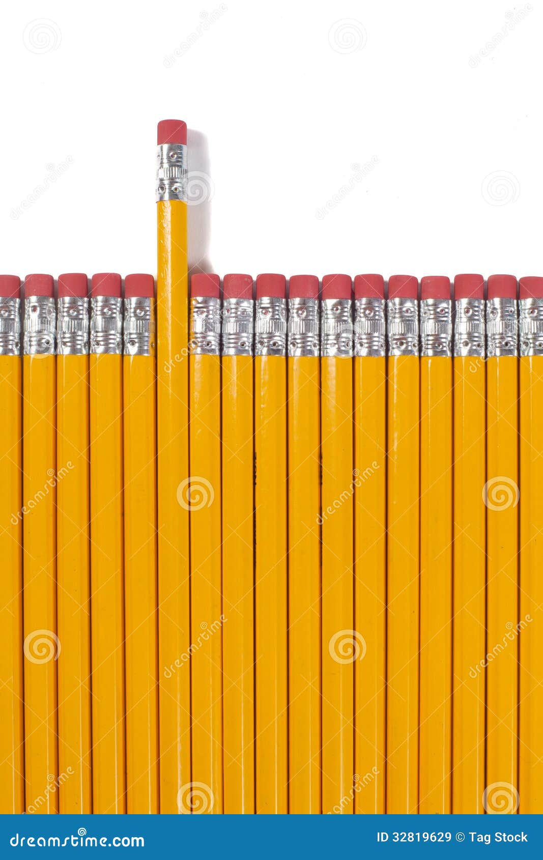 Row of Yellow Pencils Isolated Stock Image - Image of design, graphite ...