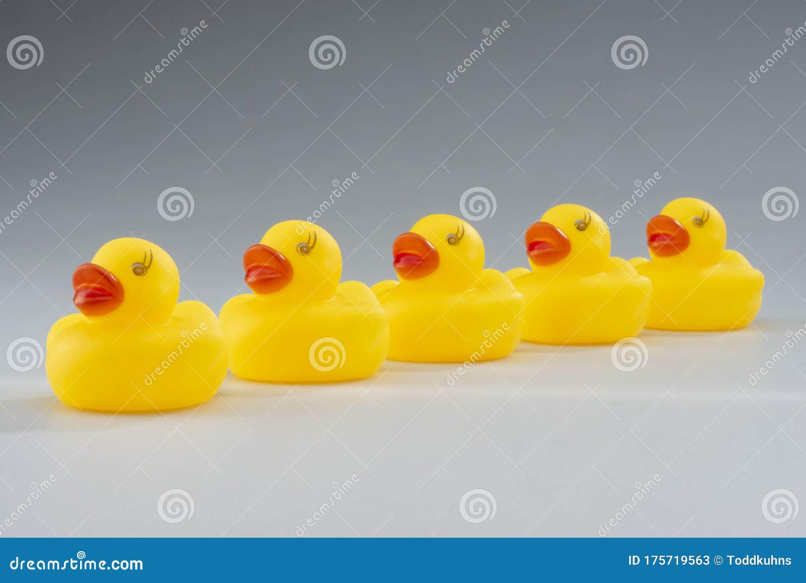 Row of Yellow Rubber Ducks in a Row Stock Image - Image of organized ...