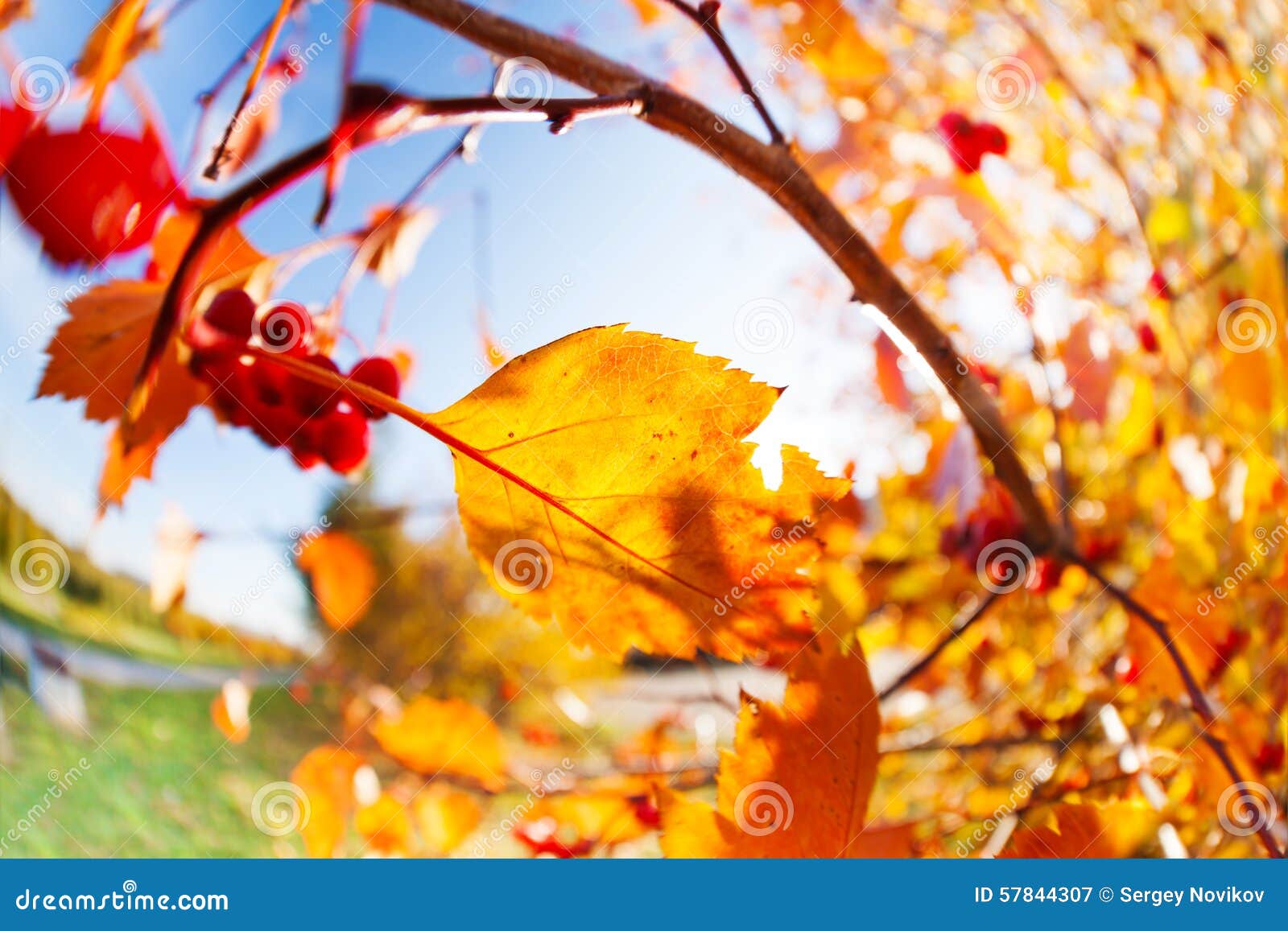 Autumn October Photo Lighthouse On The Seashore. Photo Image Royalty ...