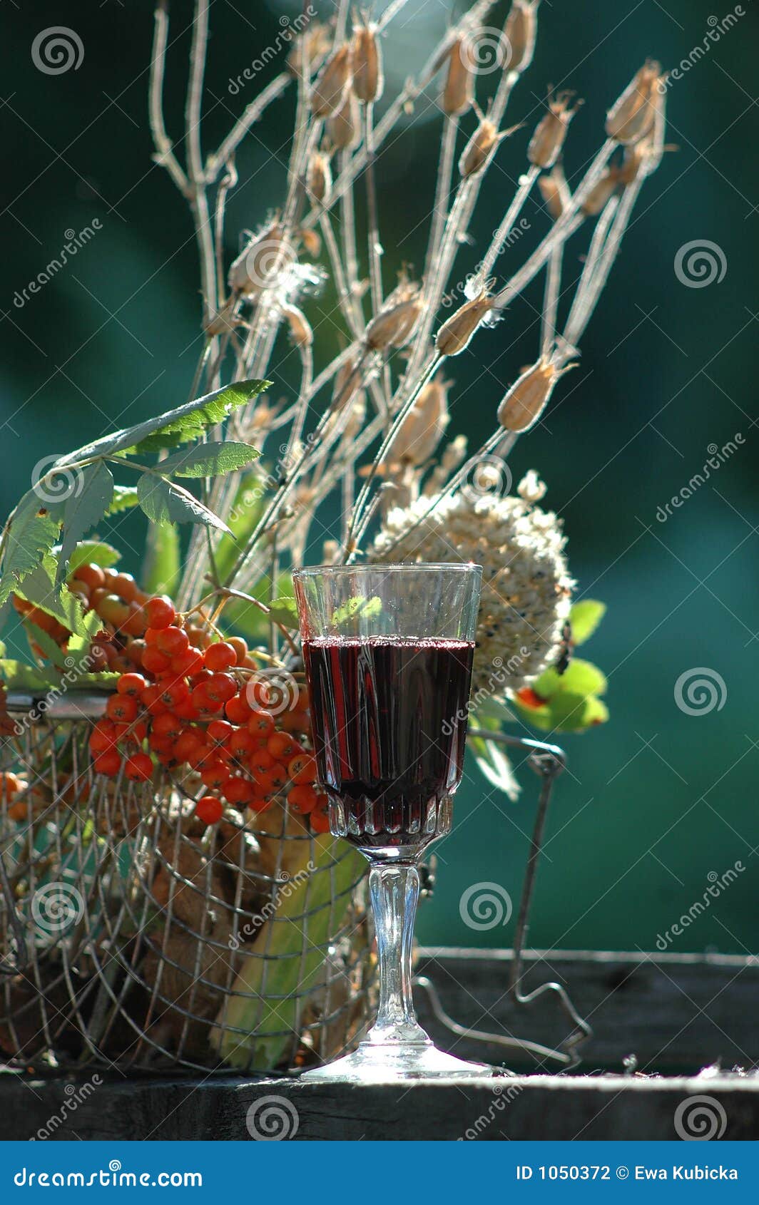 Rowan berries and red wine stock photo. Image of aucuparia - 1050372