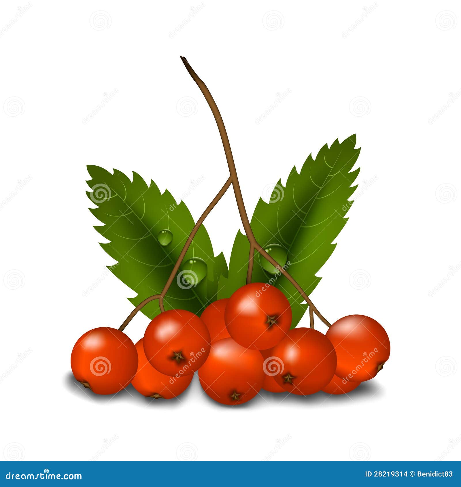 Rowantree Cartoons, Illustrations & Vector Stock Images - 209 Pictures ...