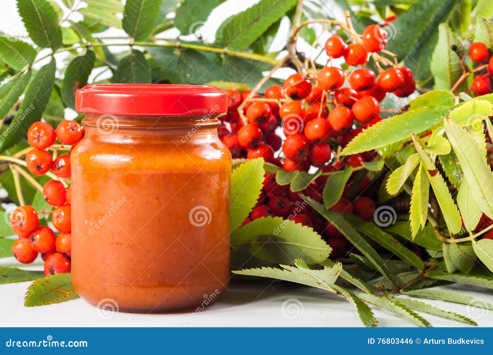 Rowan bunch with jam stock photo. Image of flora, green - 76803446