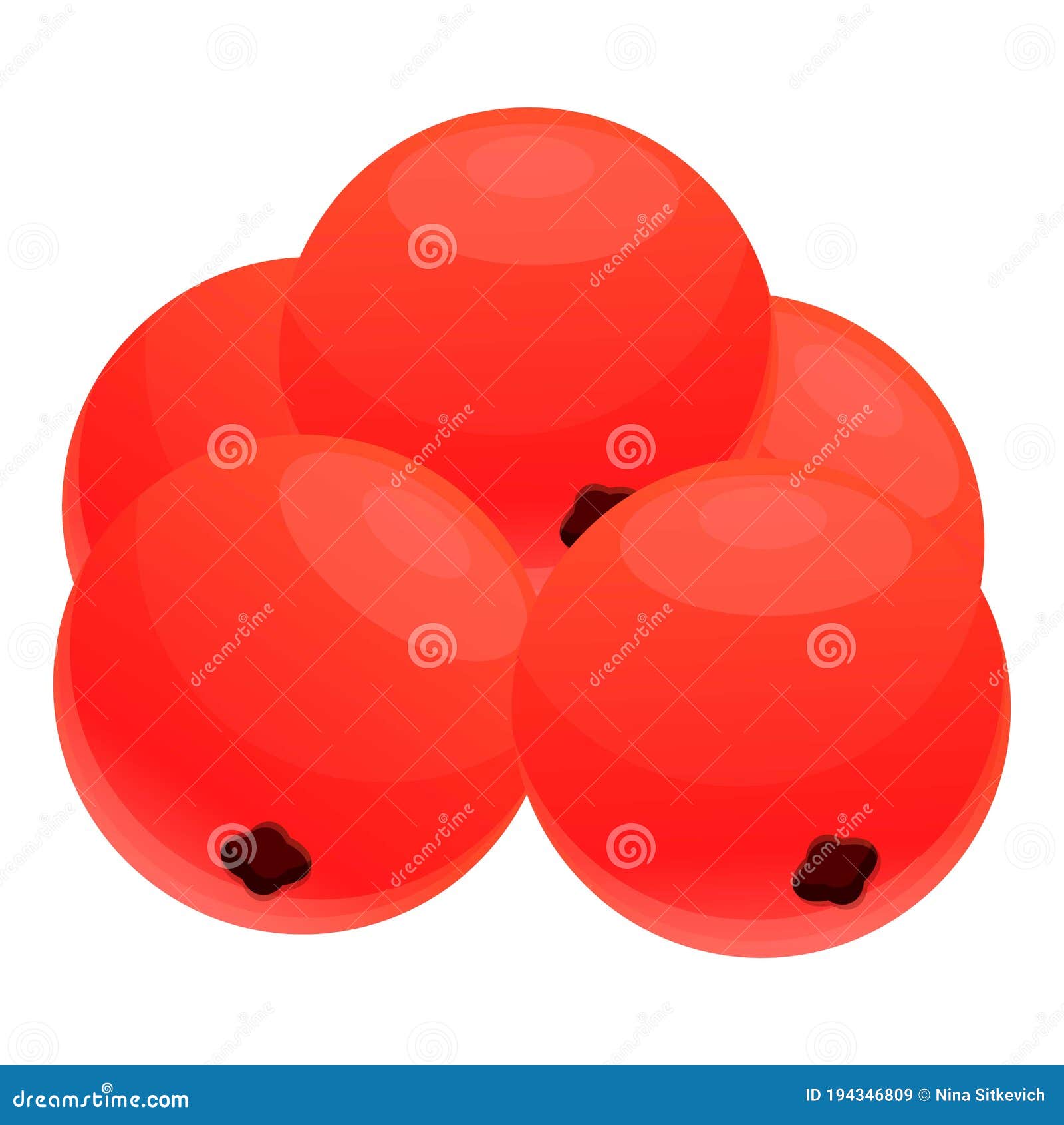 Rowan icon, cartoon style stock vector. Illustration of branch - 194346809