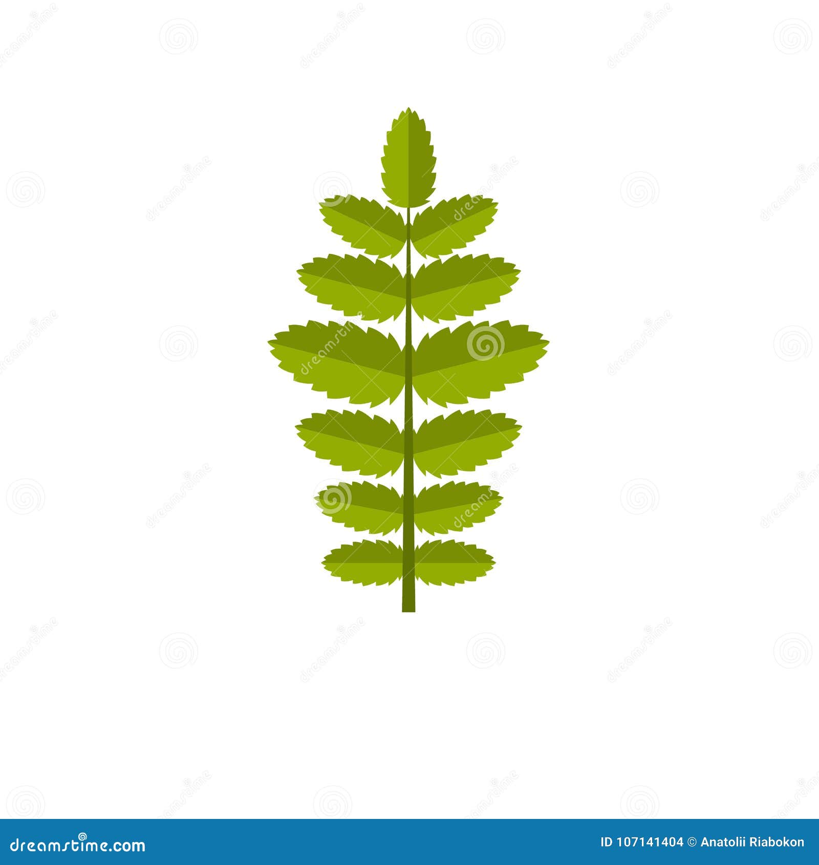 Rowan Leaf Icon, Flat Style Stock Vector - Illustration of fruit, frost ...