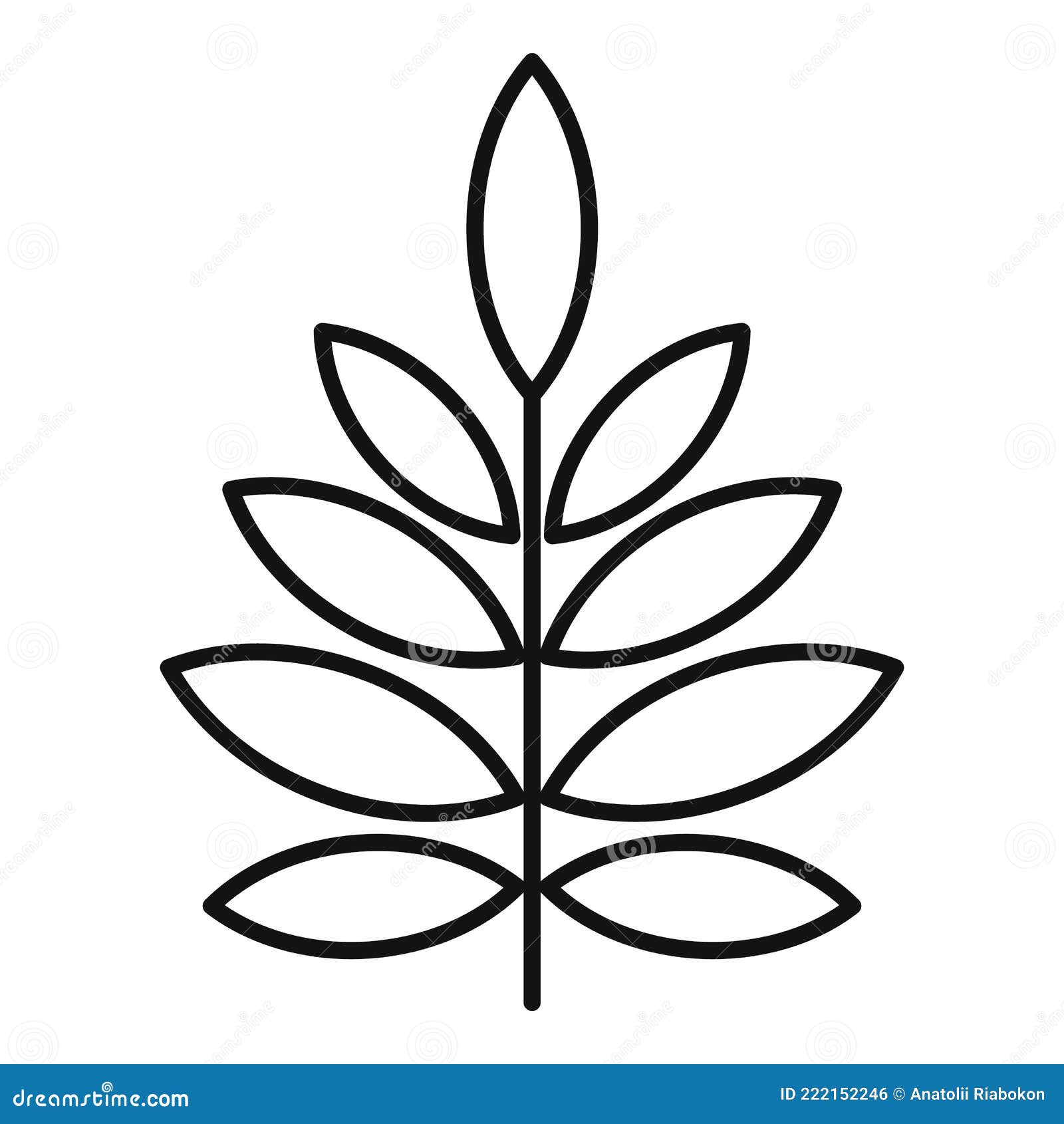 Rowan Leaf Icon, Outline Style Stock Vector - Illustration of outline ...