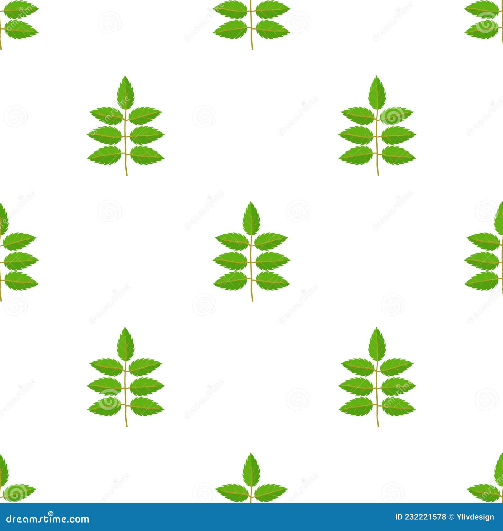 Rowan Leaf Pattern Seamless Vector Stock Vector - Illustration of ...