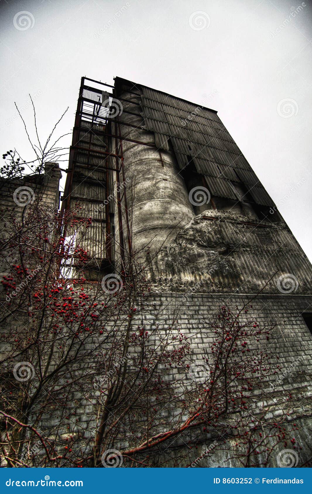 1,414 Rowan Growing Stock Photos - Free & Royalty-Free Stock Photos ...