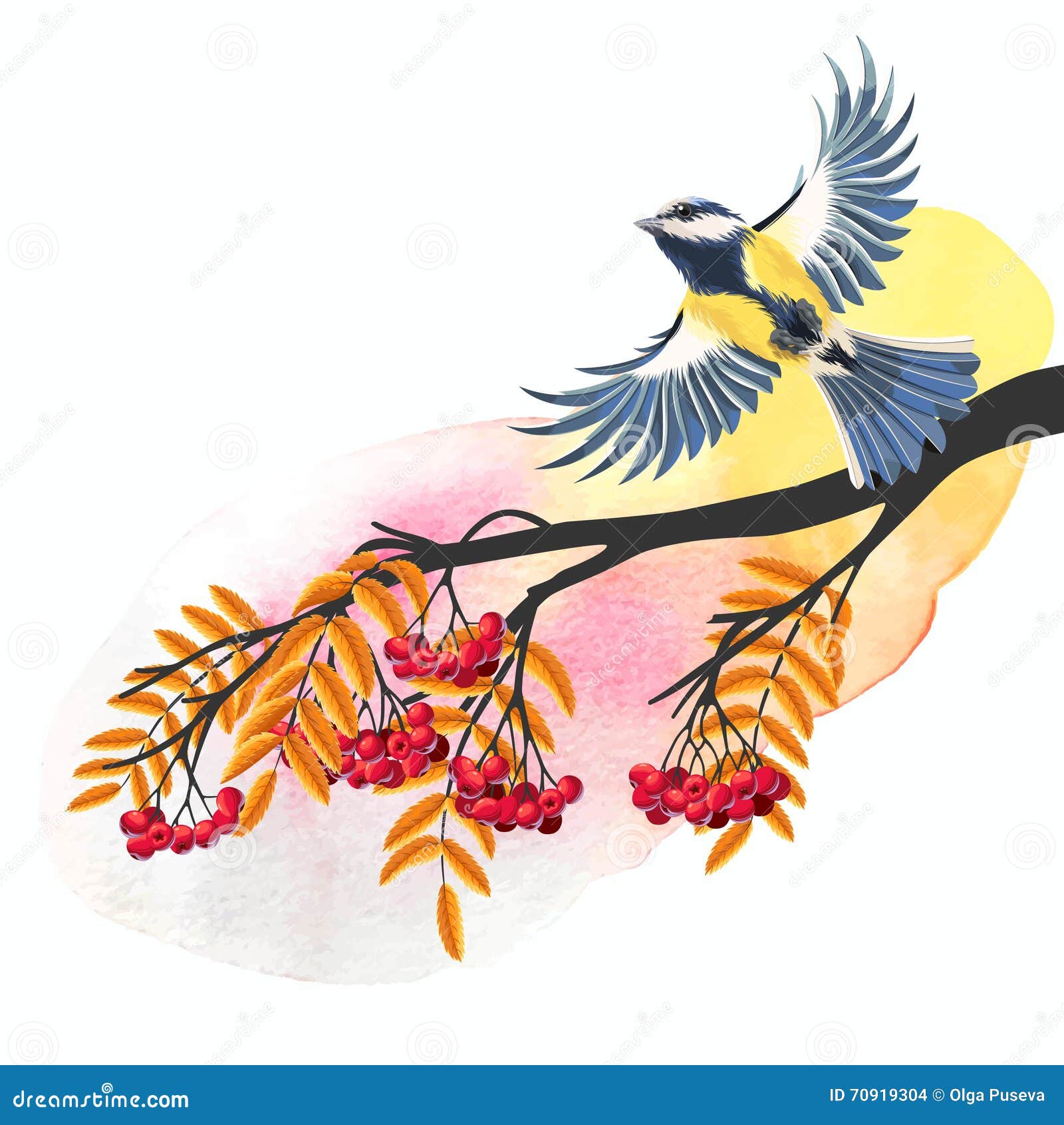 Rowan and tomtit stock vector. Illustration of season - 70919304