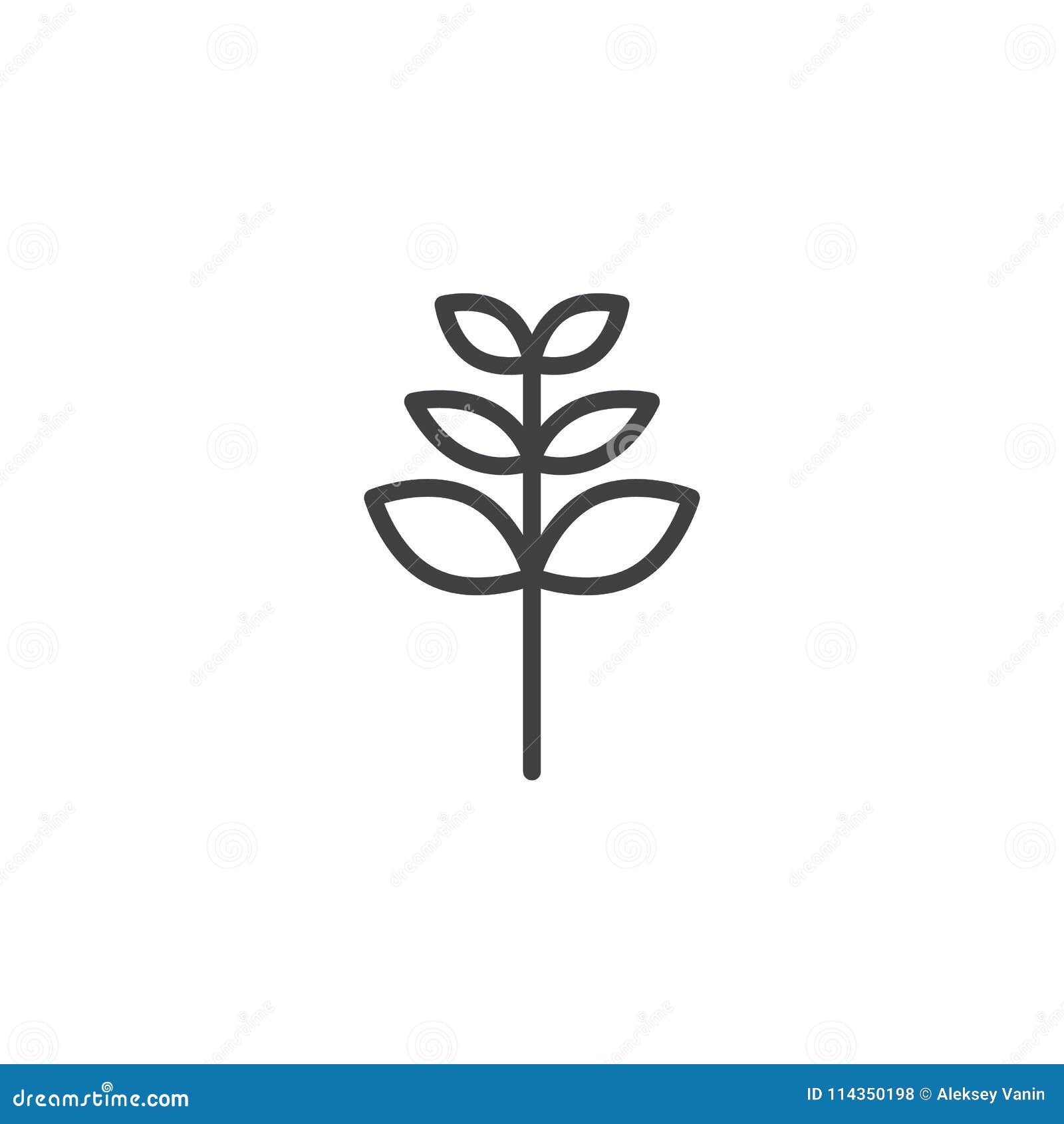 Rowan Tree Leaf Outline Icon Stock Vector - Illustration of flora ...
