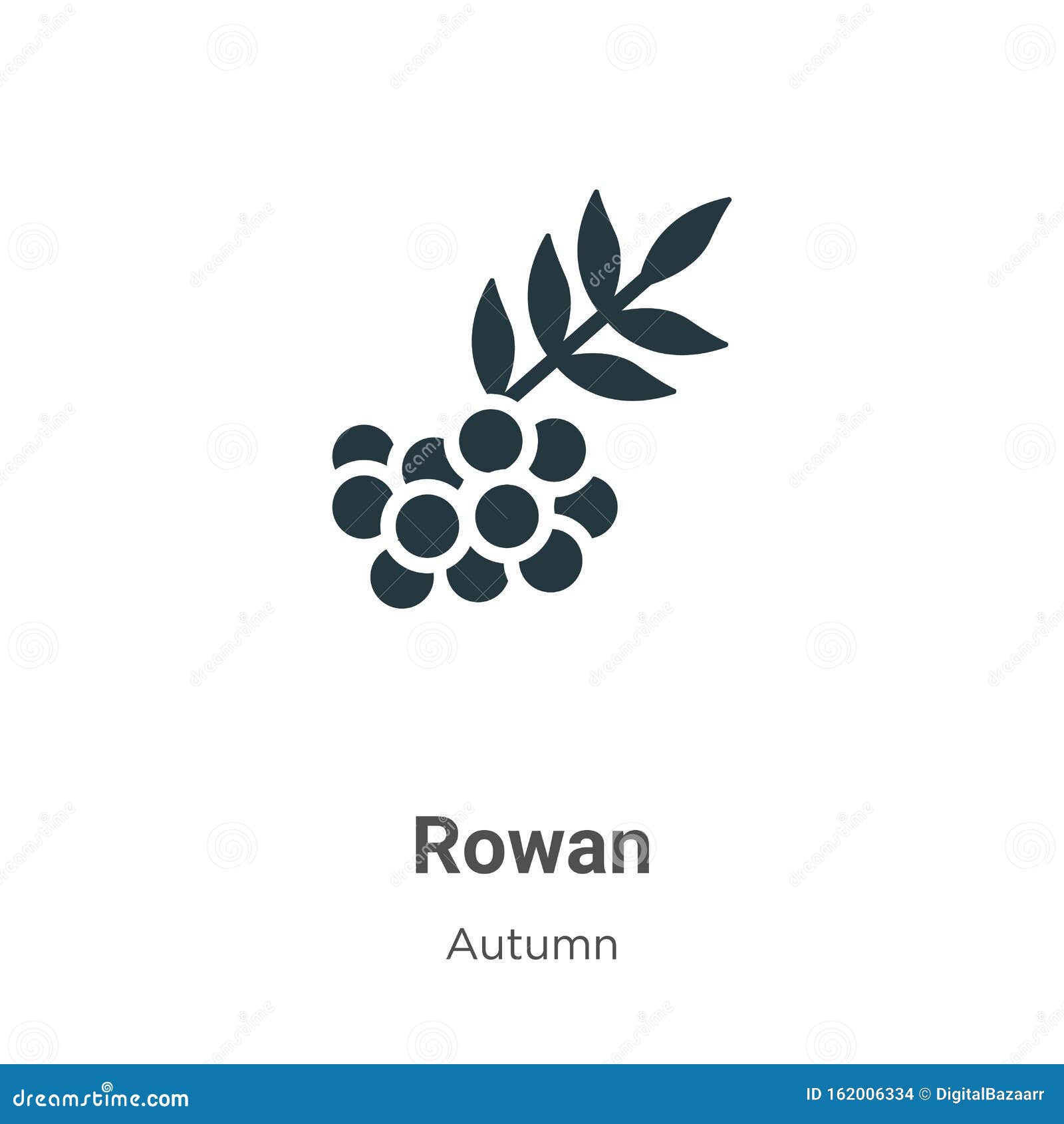 Rowan Vector Icon on White Background. Flat Vector Rowan Icon Symbol ...