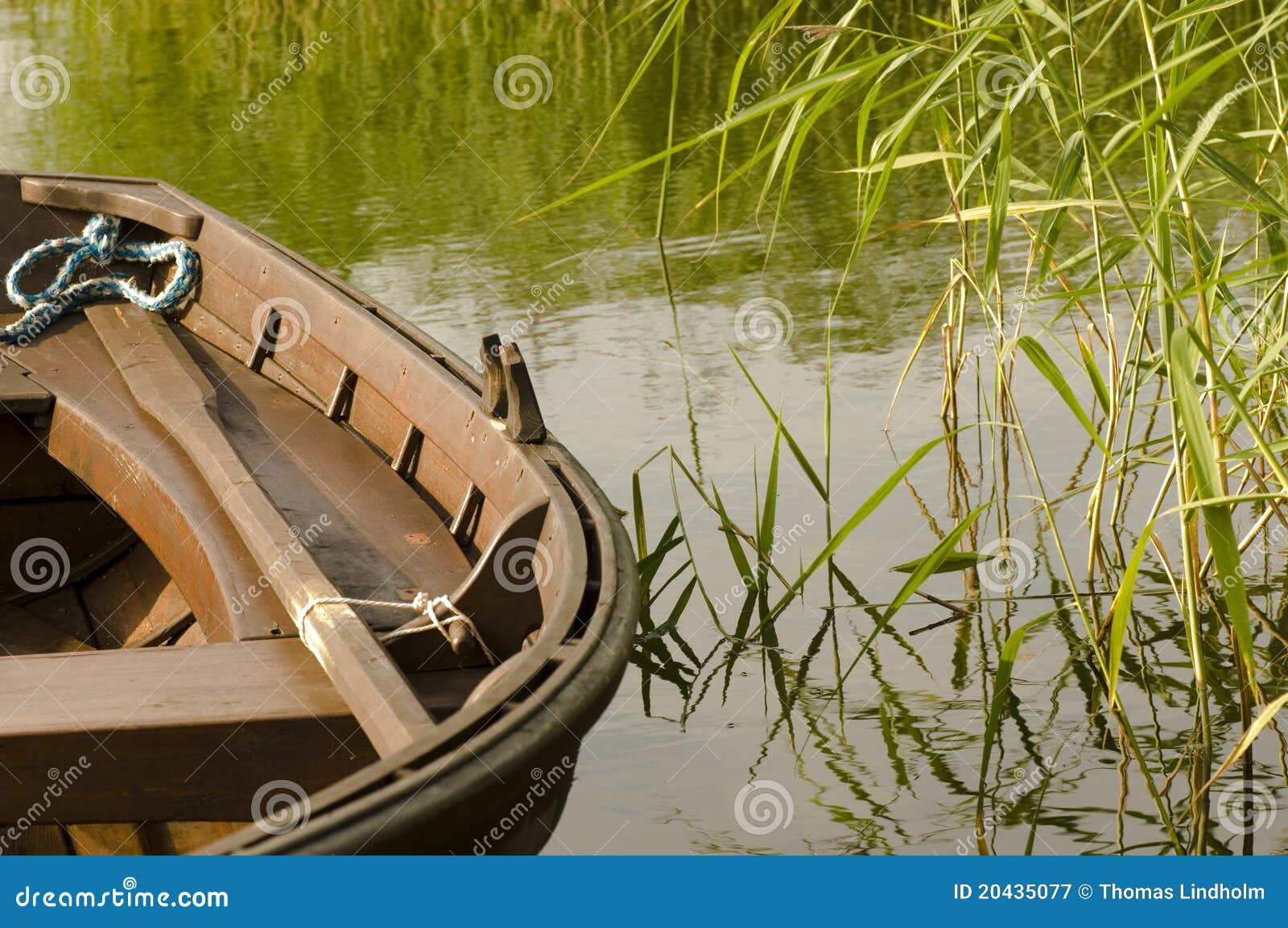 Rowboat stock image. Image of paint, shallop, oars, reed - 20435077