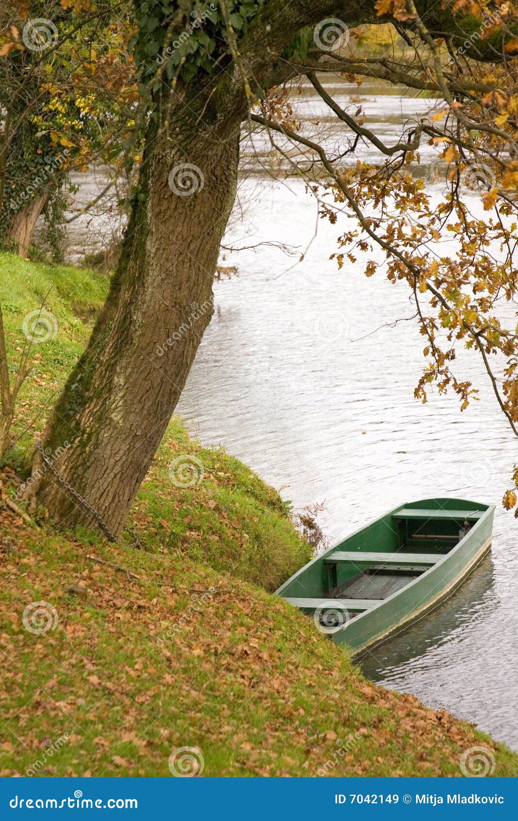 Rowboat stock image. Image of slovenia, rowing, nature - 7042149