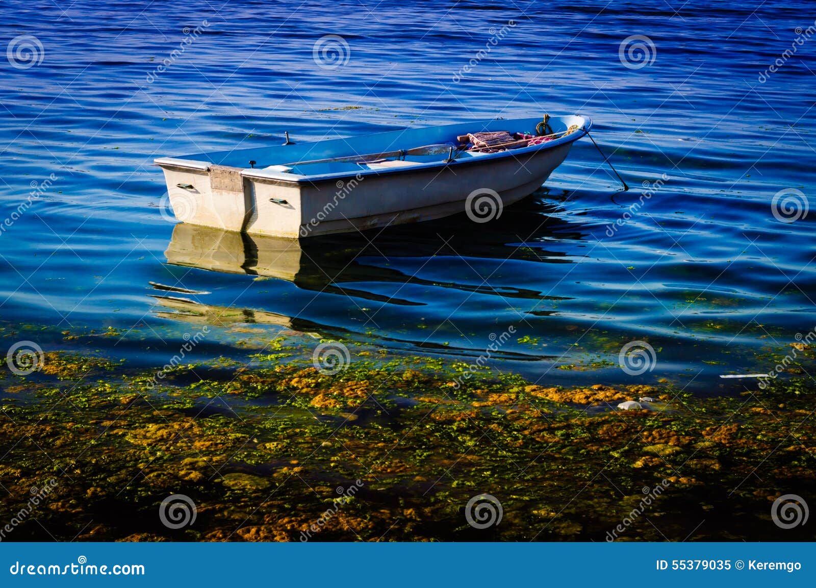 Rowboat on the Sea stock image. Image of mossy, port - 55379035
