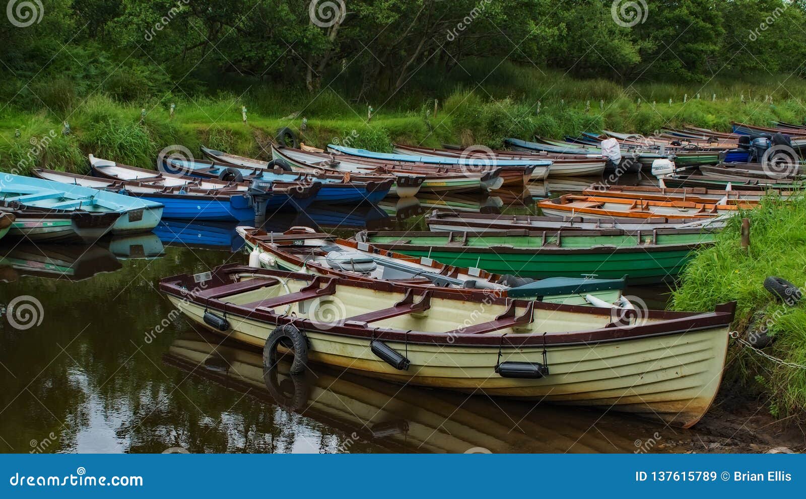 Rowboats at Ross Castle editorial stock image. Image of canal - 137615789
