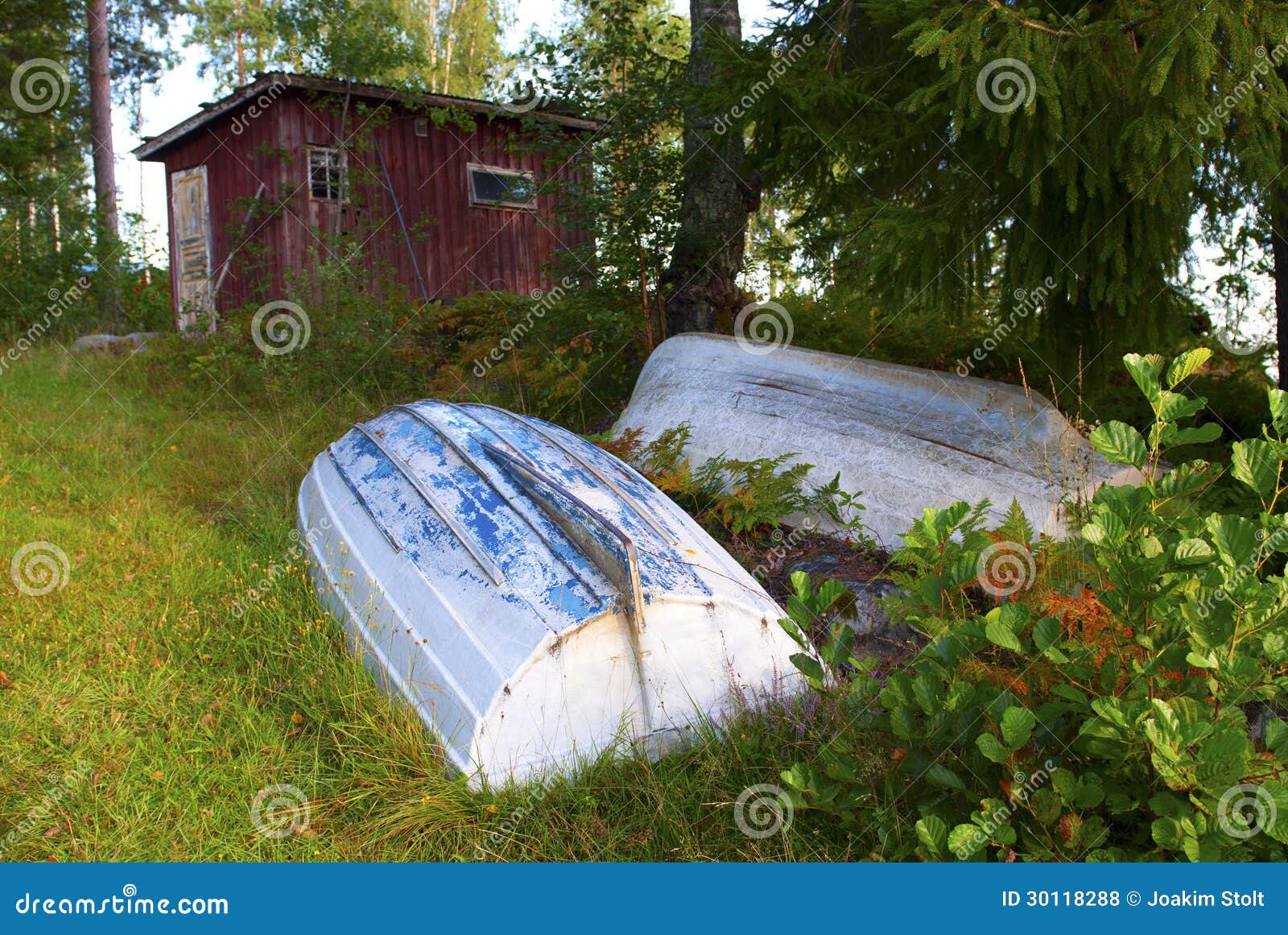Rowboats in Front of Red Shed Stock Photo - Image of rowboat, trees ...