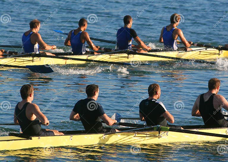 Rowers stock photo. Image of water, racing, competition - 2272288