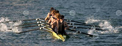 Rowers in action stock photo. Image of enforce, boat, competitive - 437280