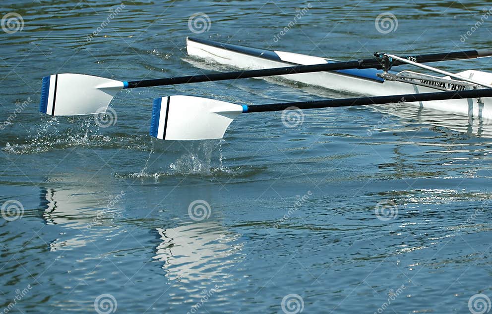 Rowing stock photo. Image of splash, sport, white, summer - 149636