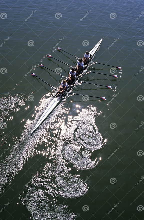 Rowing stock photo. Image of river, teamwork, water, rowing - 2193208