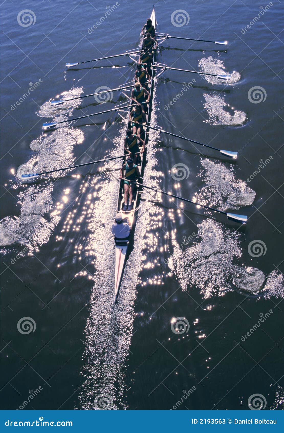 Rowing stock image. Image of float, energy, water, regatta - 2193563