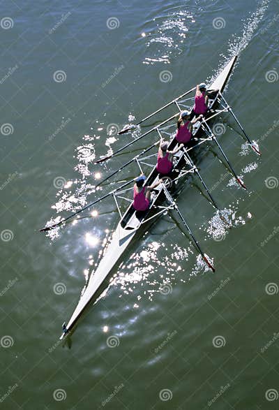 Rowing stock photo. Image of rower, sport, racing, cruise - 2198906