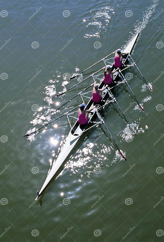 Rowing stock photo. Image of rower, sport, racing, cruise - 2198906