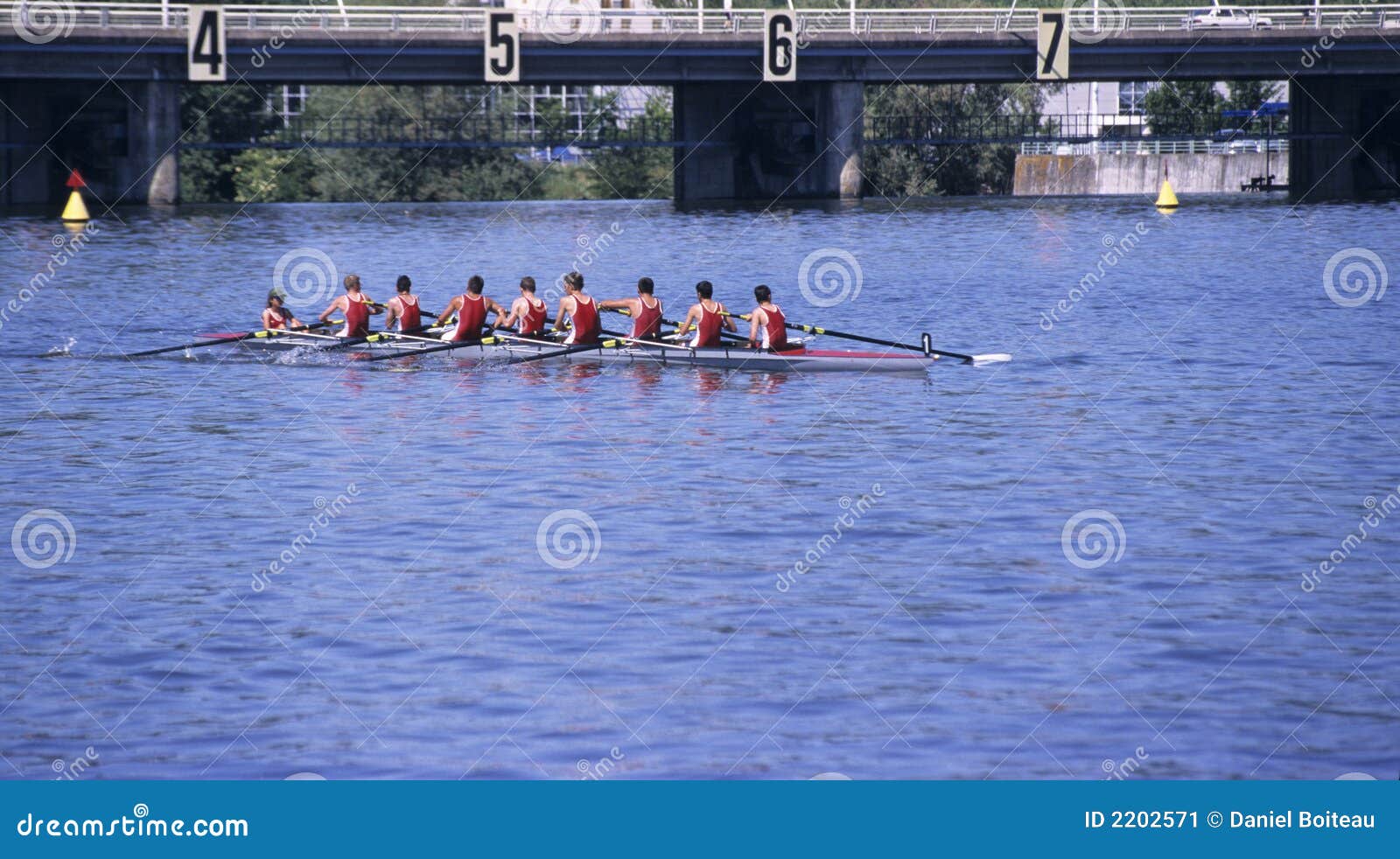 Rowing stock image. Image of rowing, competition, team - 2202571