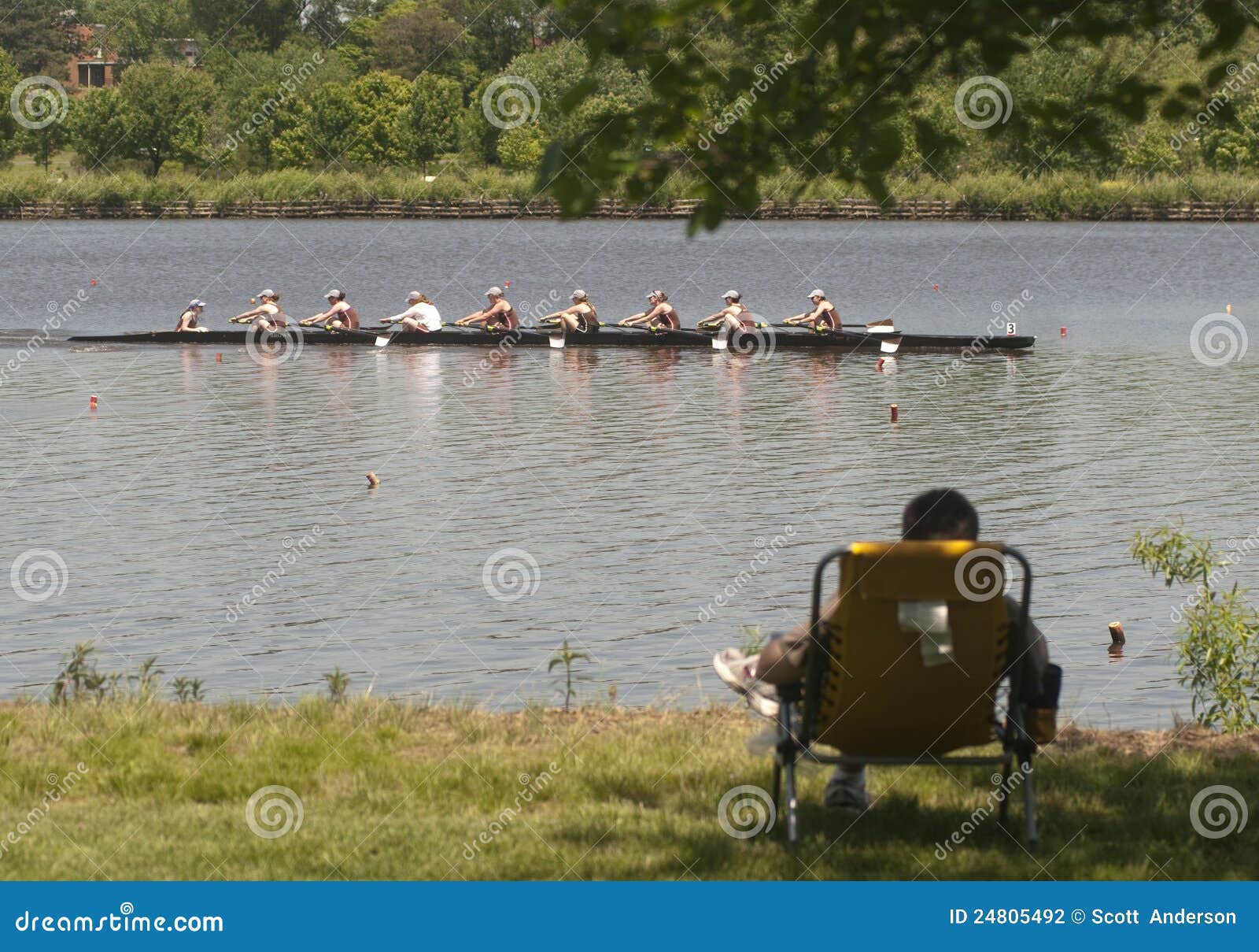 ROWING editorial photography. Image of rowing, brown - 24805492