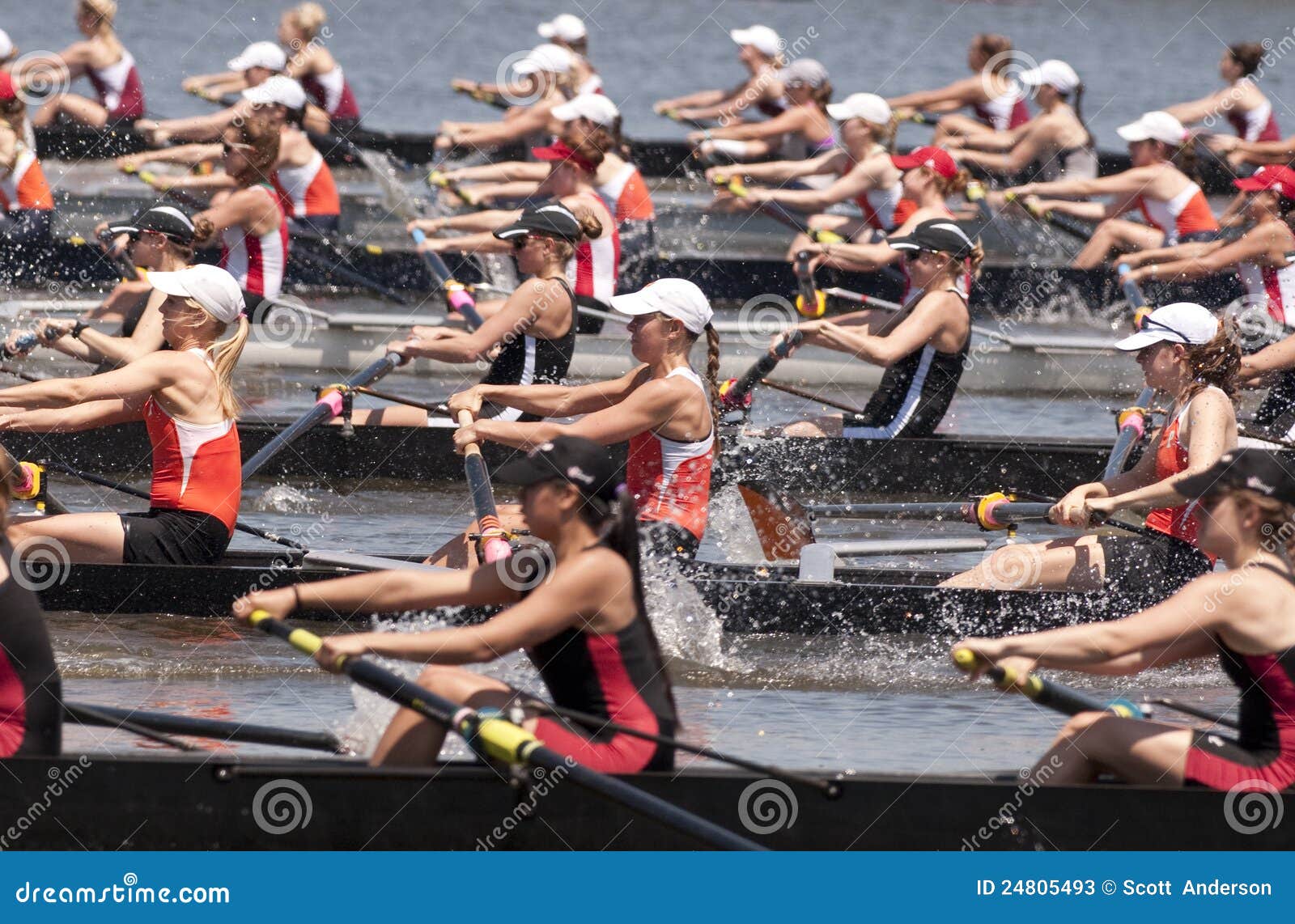 ROWING editorial stock photo. Image of rowing, jersey - 24805493
