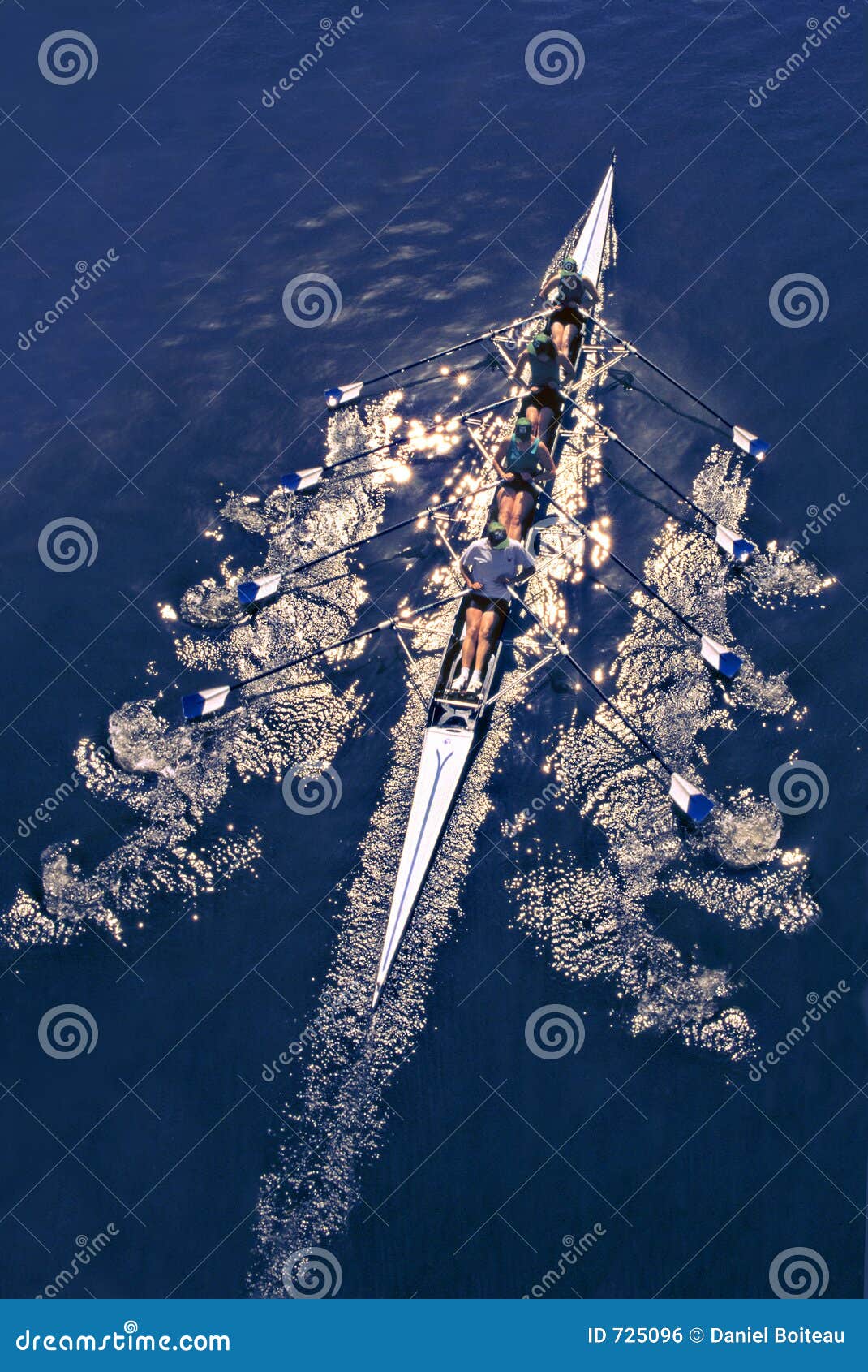 Rowing stock photo. Image of cruise, racing, river, competition - 725096