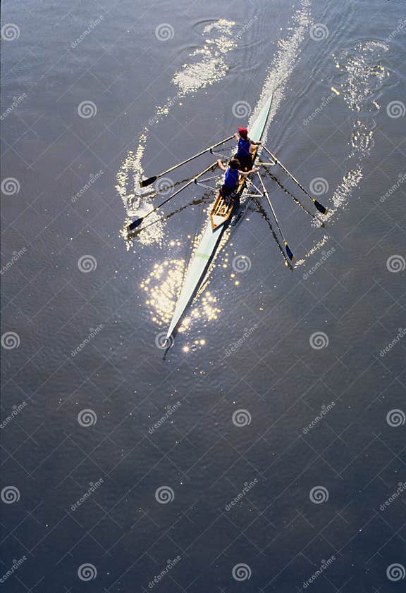 Rowing stock image. Image of regatta, rowing, oars, team - 811643