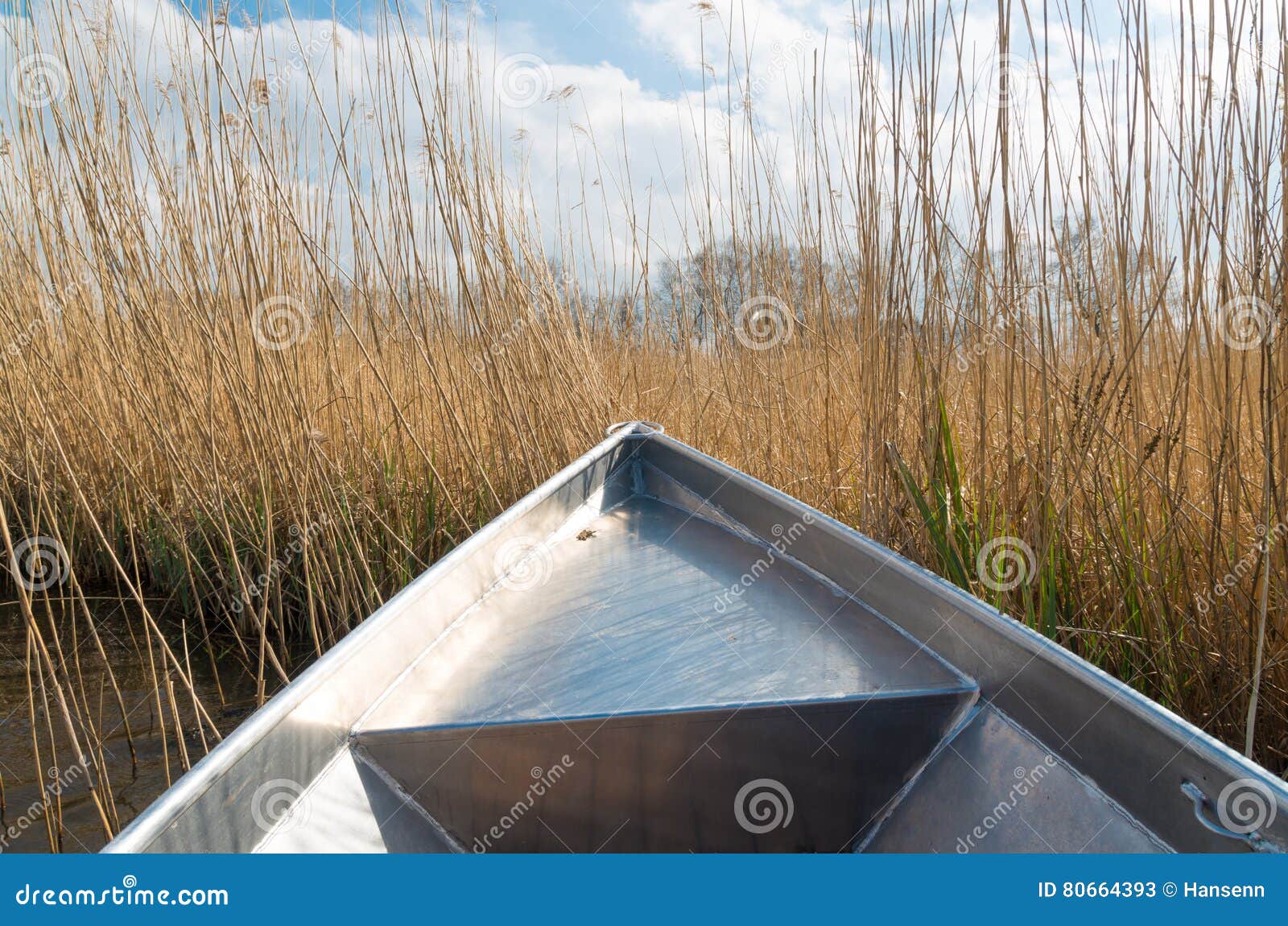 Rowing boat bow stock image. Image of boat, wetlands - 80664393