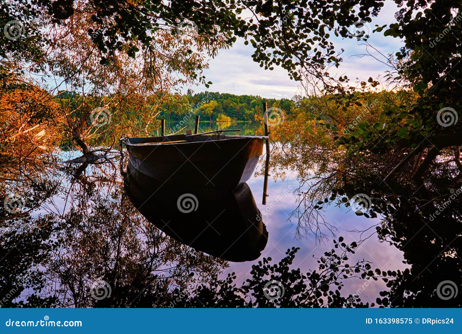 Rowing Boat at the Forest Lake at Sunset Stock Image - Image of light ...