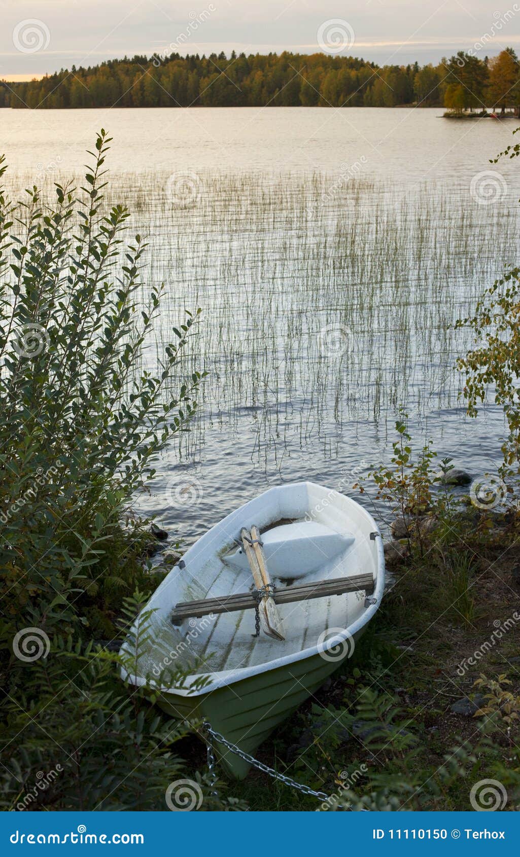 Rowing boat moored by lake stock photo. Image of scenic - 11110150
