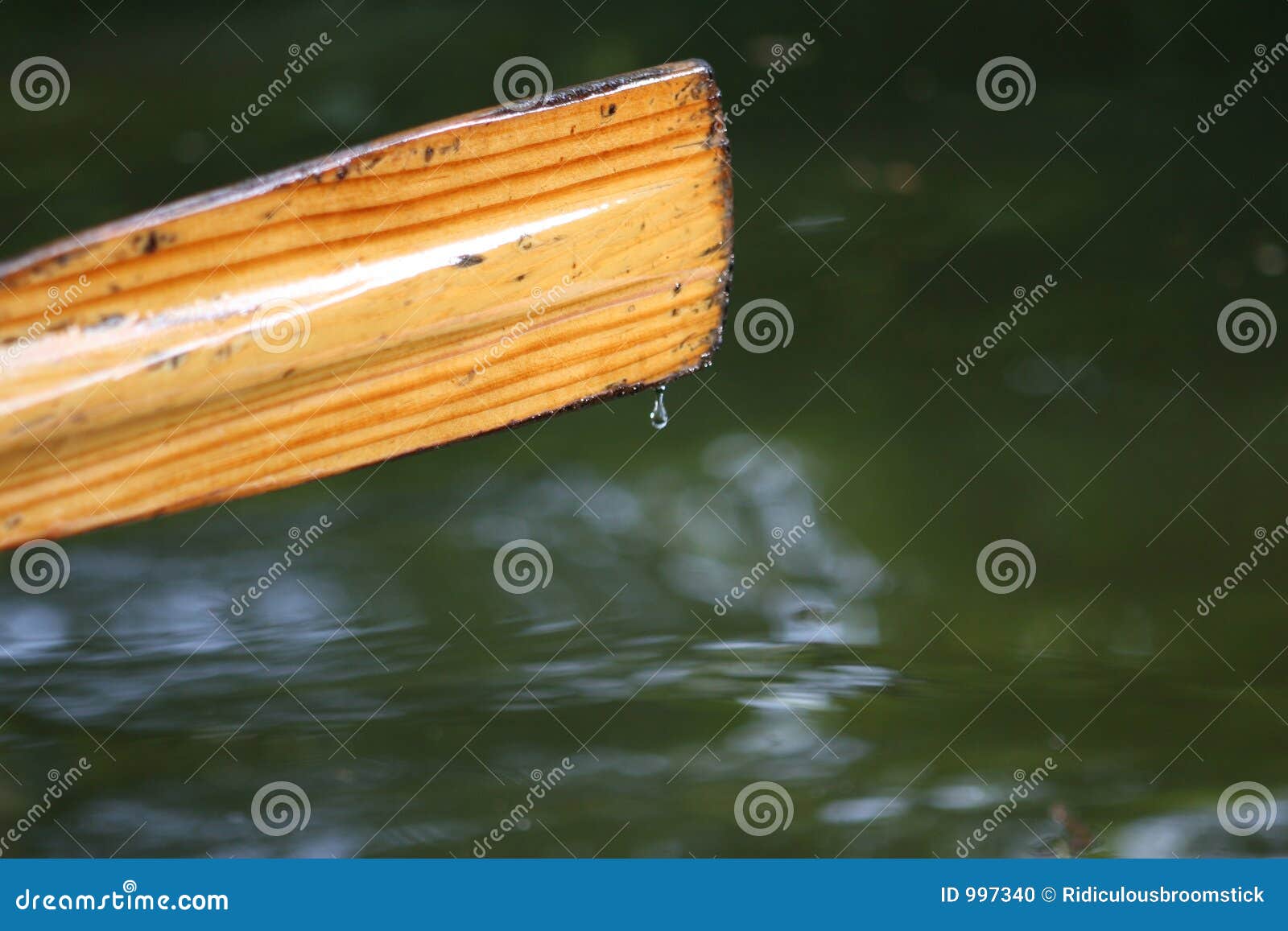 Rowing boat oar stock photo. Image of vessel, paddle, water - 997340
