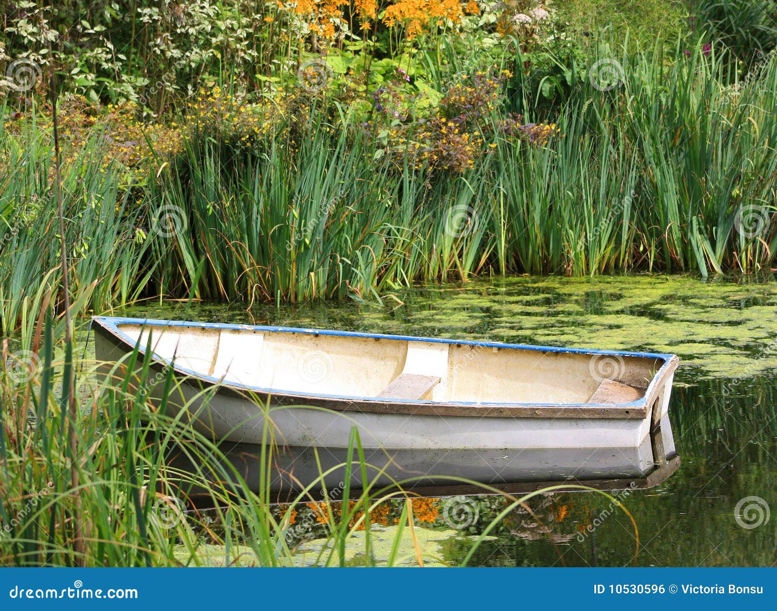 Rowing Boat in the water stock photo. Image of pond, empty - 10530596