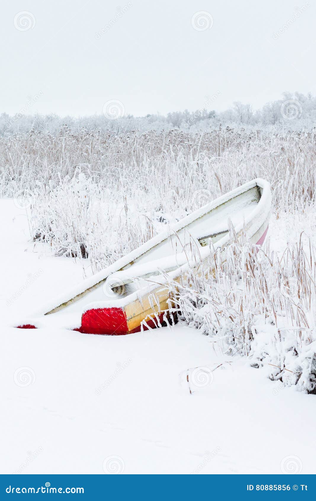 Rowing boat in winter stock photo. Image of calmness - 80885856