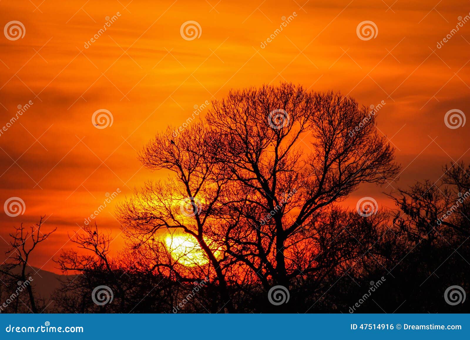 Rowing channel Plovdiv stock photo. Image of autumn, beauty - 47514916