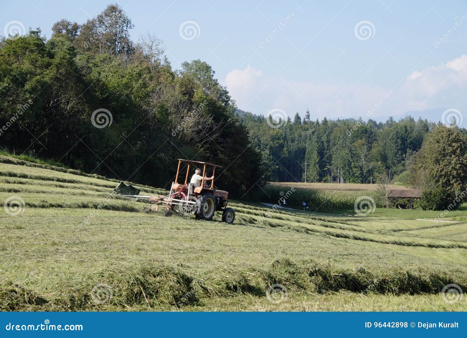 Rowing grass up stock photo. Image of equipment, grassland - 96442898