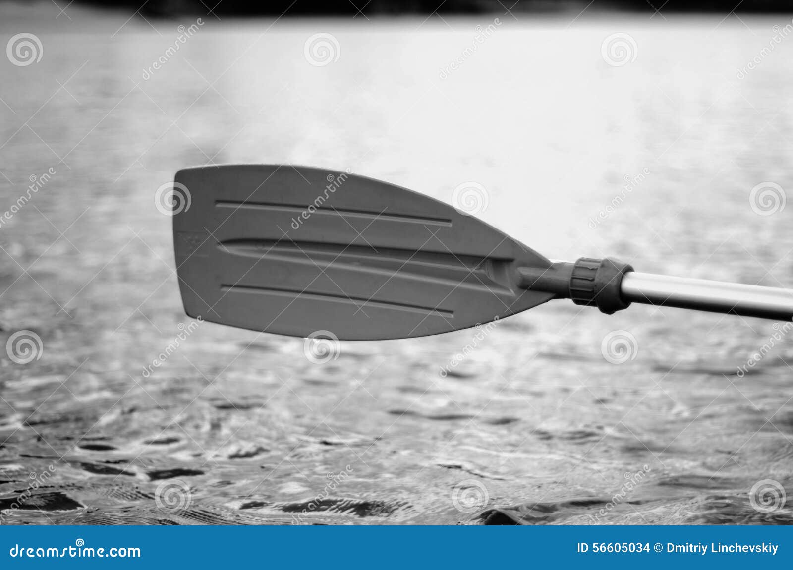 Rowing, Holding a Kayak Paddle in Black and White Colors Stock Photo ...