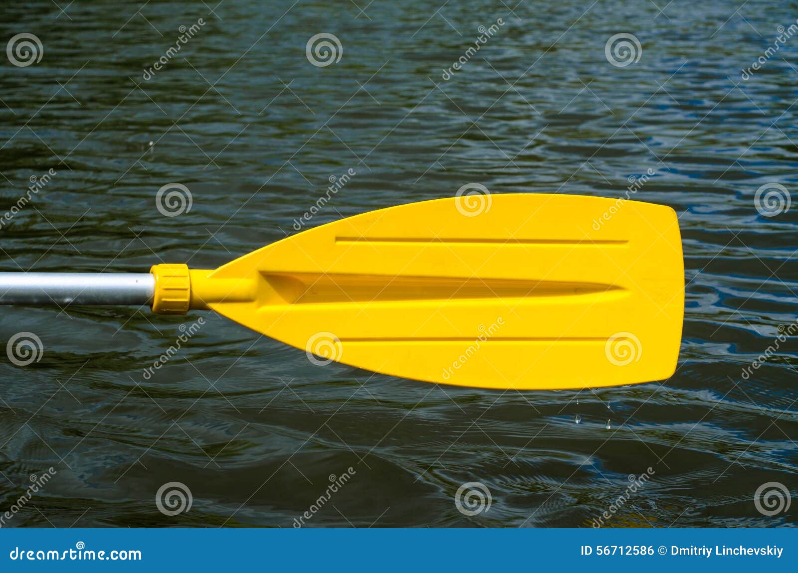 Rowing, Holding a Kayak Paddle Stock Photo - Image of holding, ocean ...
