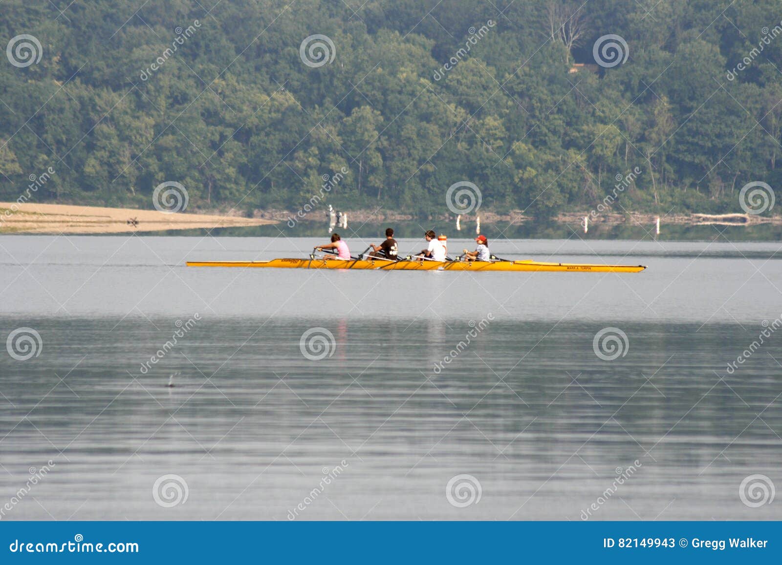 Rowing on the lake editorial stock photo. Image of rowers - 82149943