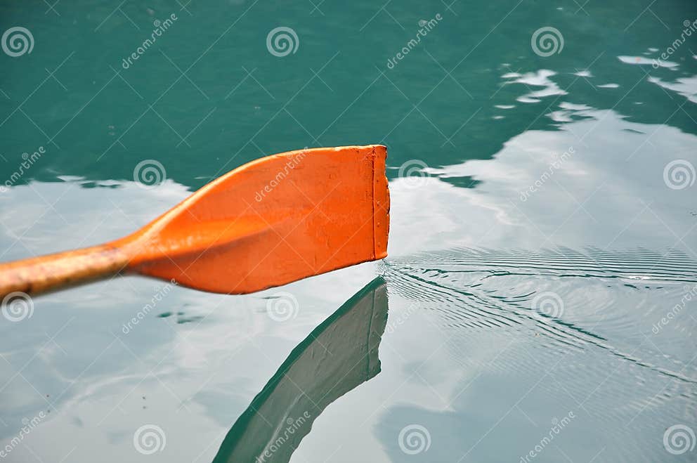 Rowing oar stock photo. Image of wood, closeup, rowing - 20488132