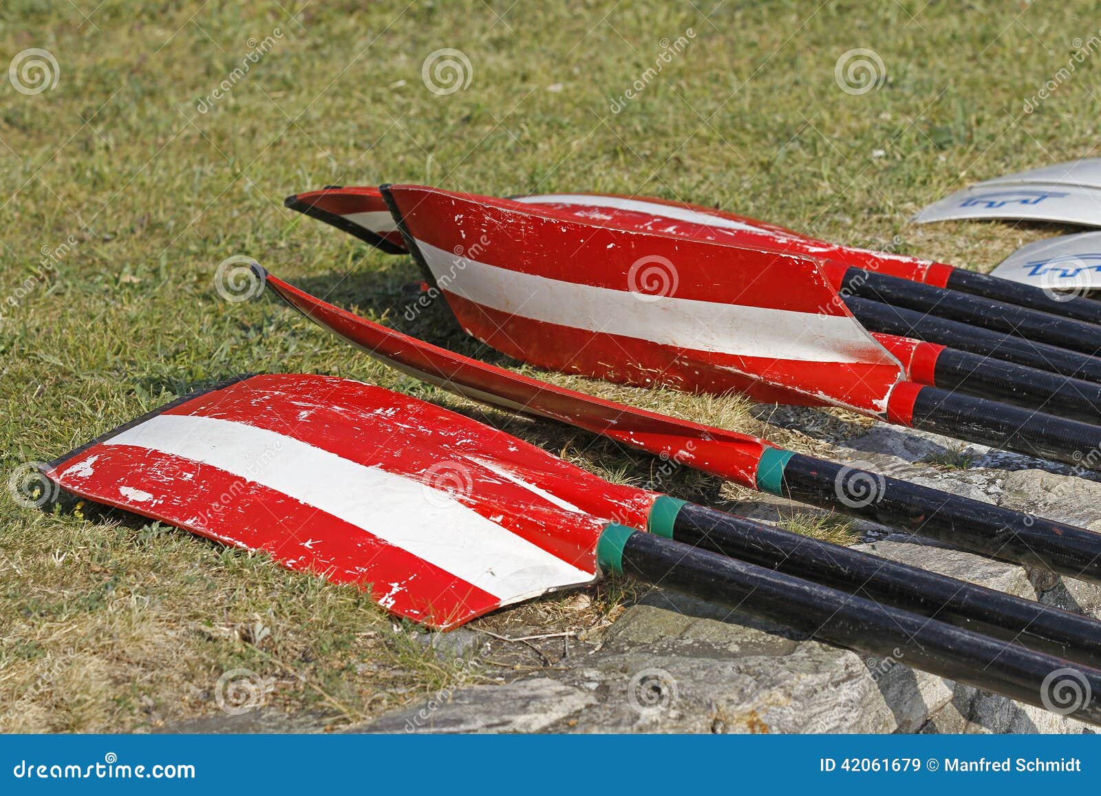 Rowing Oars stock image. Image of landing, float, competition - 42061679