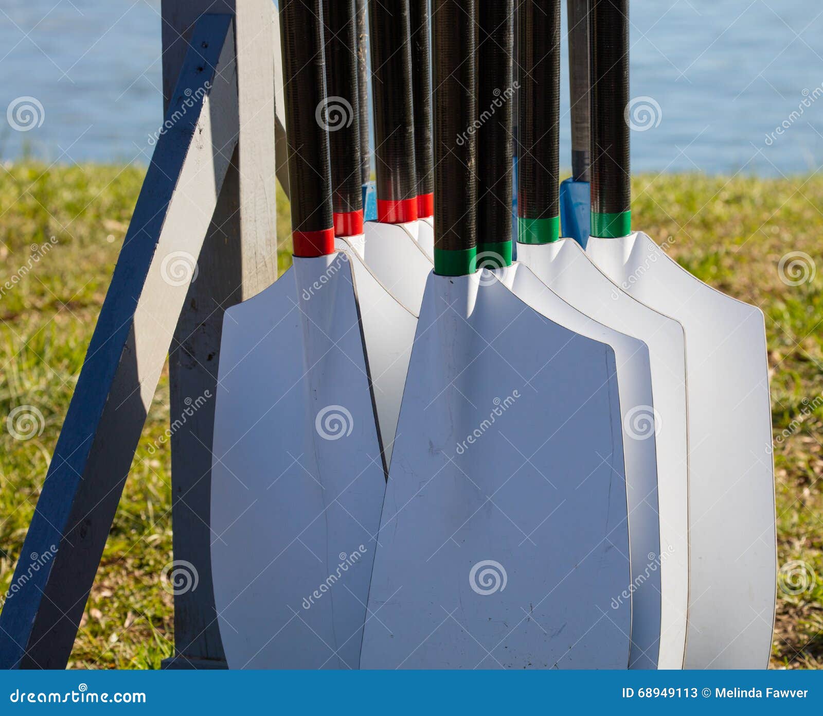 Rowing Oars stock image. Image of sport, boating, outdoor - 68949113