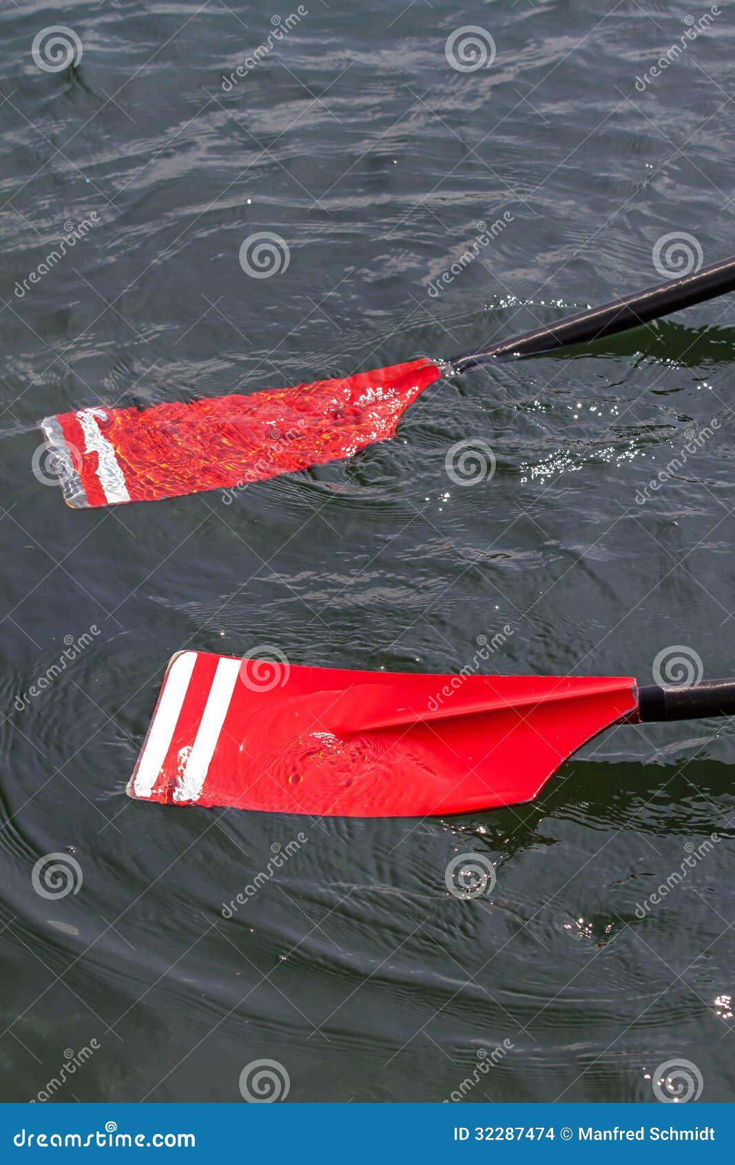 Rowing oars stock photo. Image of paddle, float, reflection - 32287474