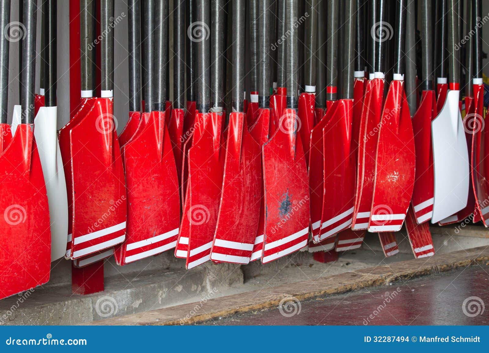 Rowing oars stock photo. Image of reflection, coast, regatta - 32287494