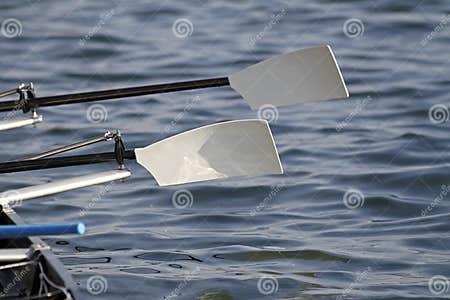 Rowing Oars stock image. Image of nautical, athlete, background - 42061561